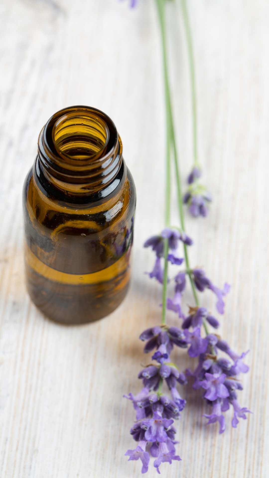 Is Lavender's Soothing Scent Really the Best Choice for You?