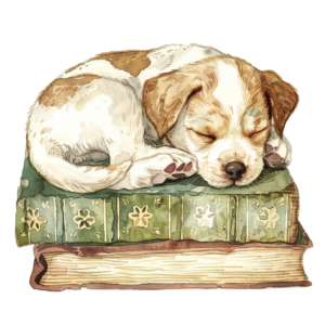 How Long Power Nap Should Be for Maximum Benefits